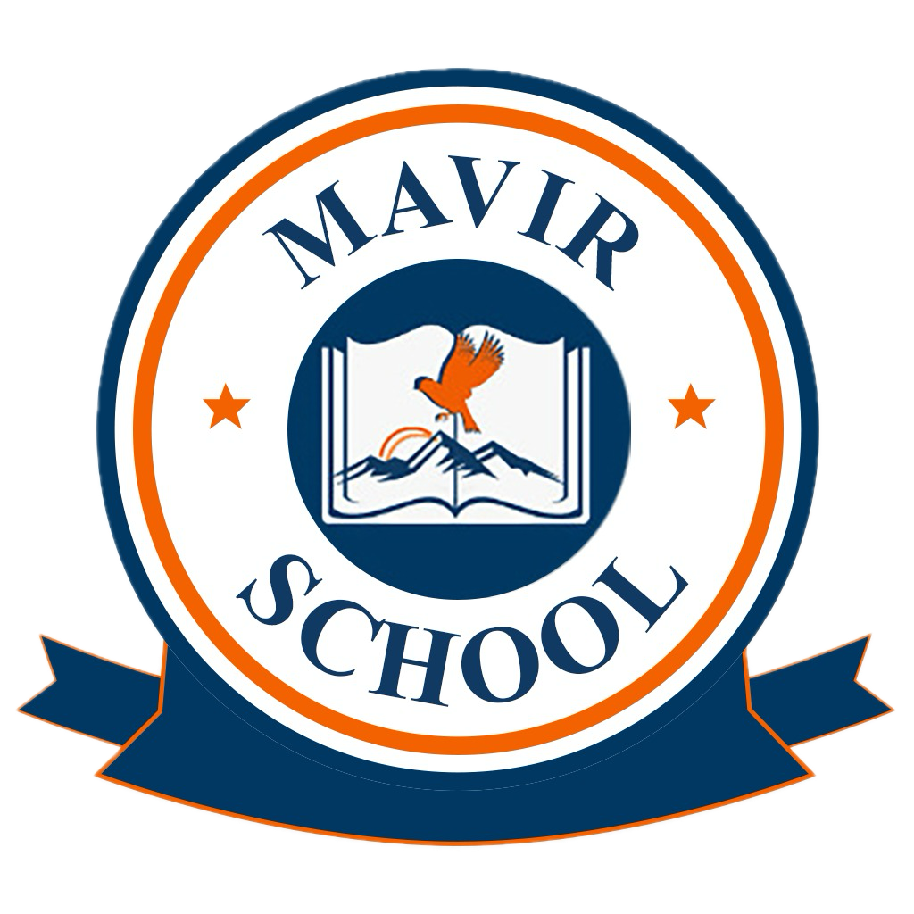 Mavir School - Educación Disruptiva Online y en Vivo